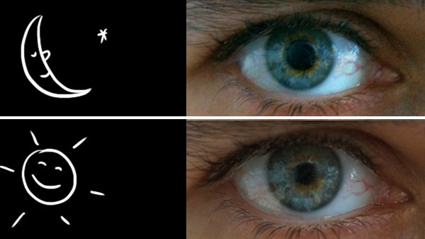 SimplyScience: Ob Hell oder Dunkel – Unser Auge passt sich an