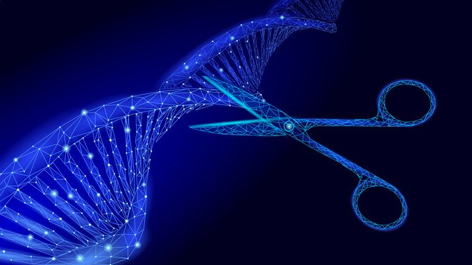 SimplyScience: Genomeditierung mit CRISPR/Cas9